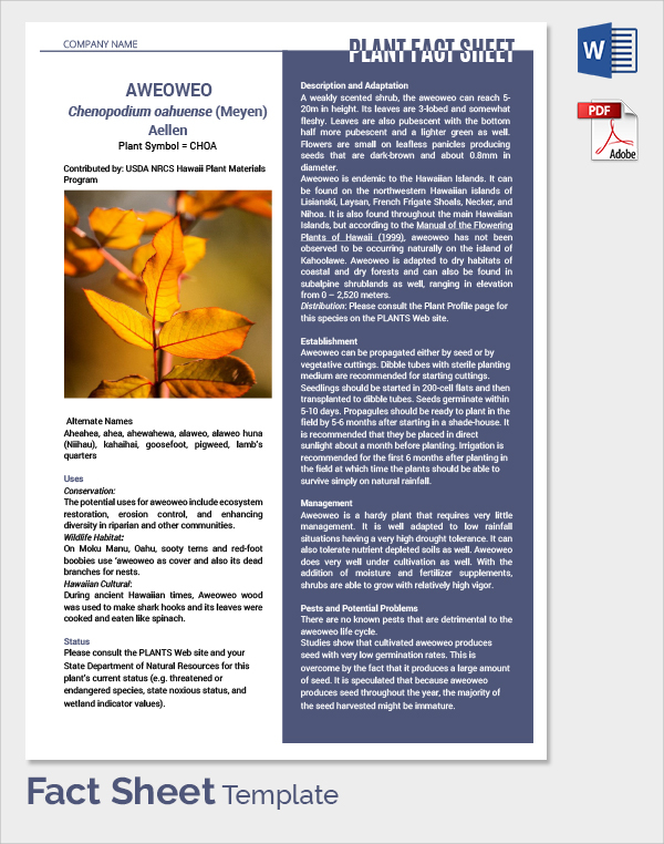 Sample Fact Sheet Template 14 Free Download Documents In PDF WORD
