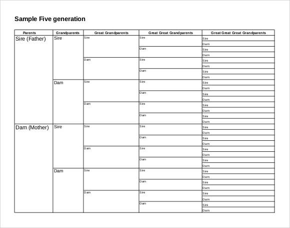 5 Generation Family Tree Template