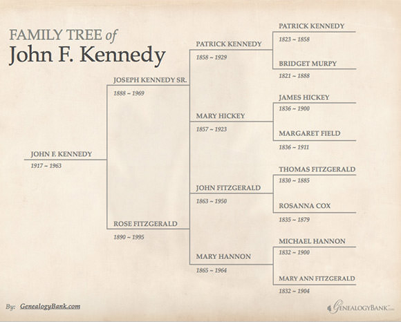 FREE 61 Family Tree Templates In MS Word Apple Pages Excel Apple 