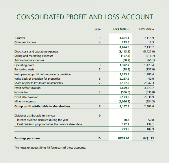 FREE 10 Profit And Loss Statement Samples In PDF Excel