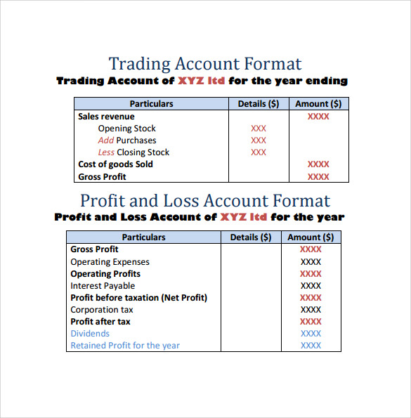 Company Balance Sheet And Profit And Loss Account Format In Excel 5 