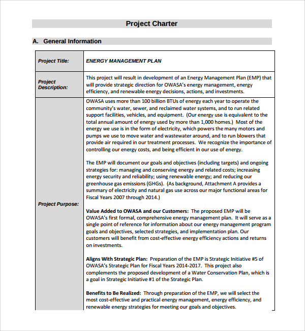 Project Charter Examples Documents