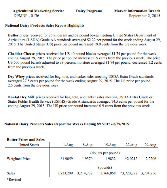 FREE 16 Sales Report Samples In Google Docs MS Word Apple Pages PDF