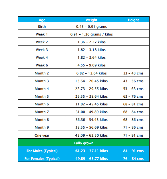 FREE 6 Sample Puppy Growth Chart Templates In PDF