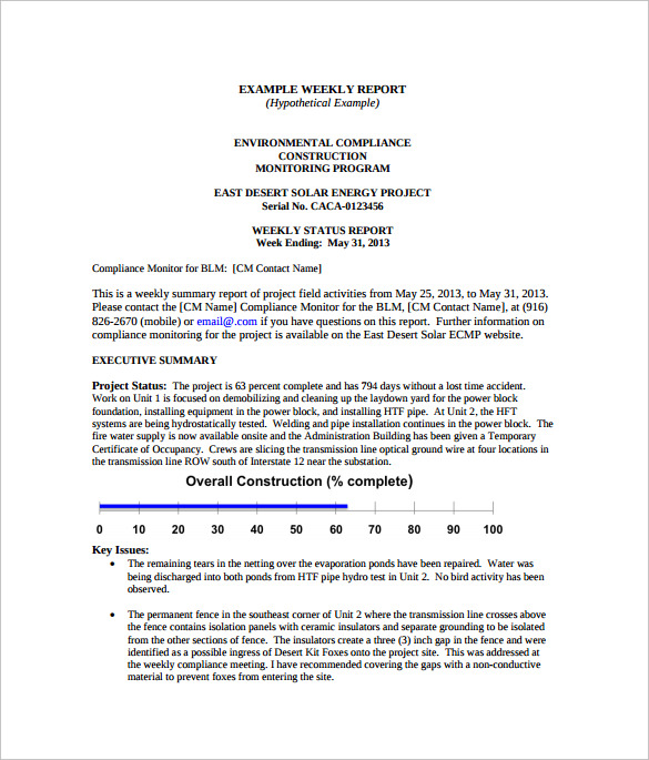 Weekly Activity Report Template