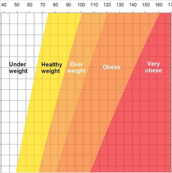 FREE 7 Sample Ideal Weight Chart Templates In PDF