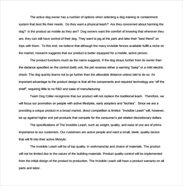 FREE 13 Sample Product Description Templates In PDF MS Word