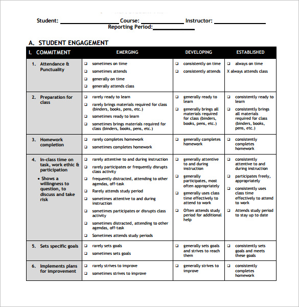 FREE 18 Sample Student Progress Reports In PDF MS Word Apple Pages 