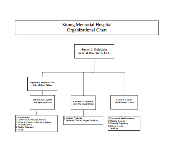9 Hospital Organizational Chart Templates To Download Sample Templates