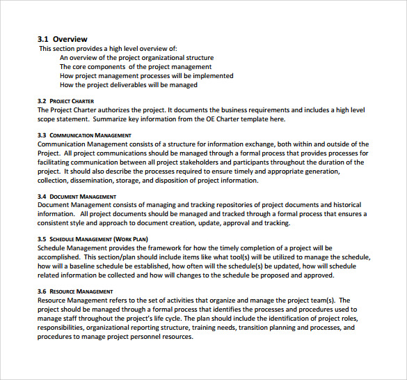 FREE 12 Sample Project Overview Templates In PDF MS Word FREE 12 Sample Project Overview Templates In PDF MS Word