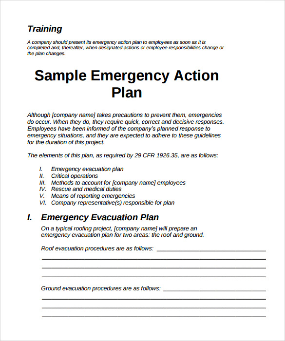 Emergency Care Programs New York Emergency Plan Format