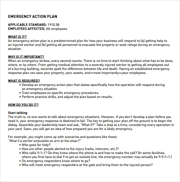 FREE 12 Sample Employee Action Plan Templates In PDF