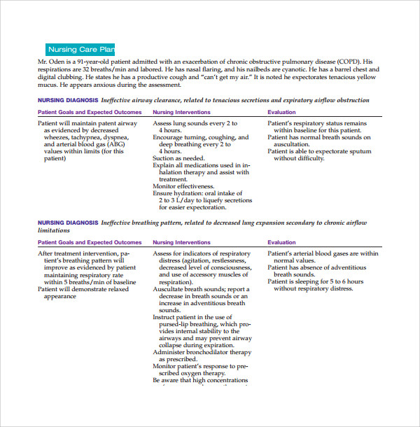 Printable Baseline Care Plan Template Printable Templates