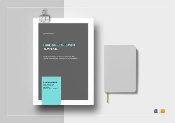 FREE 22 Sample Professional Report Templates In PDF MS Word