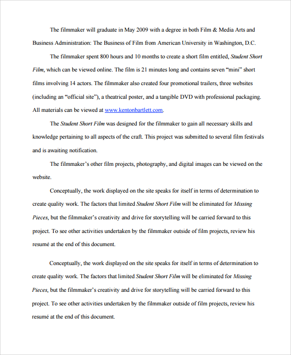FREE 11 Sample Film Business Plan Templates In MS Word PDF