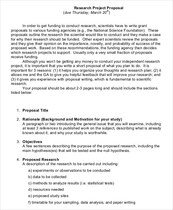 FREE 20 Sample Project Proposals In PDF MS Word Pages Google Docs