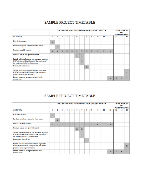 FREE 6 Sample Project Timetable Templates In PDF