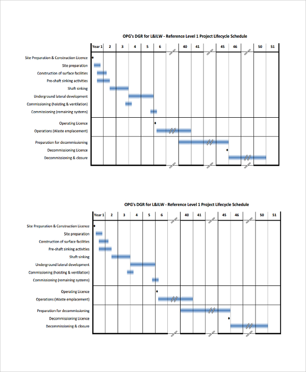 Project Timetable Sample Classles Democracy