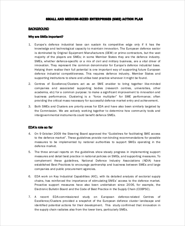 FREE 7 Sample Business Action Plan Templates In PDF MS Word