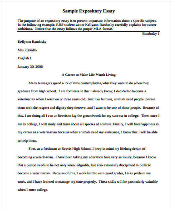 FREE 22 Sample Essay Templates In MS Word Google Docs Pages PDF