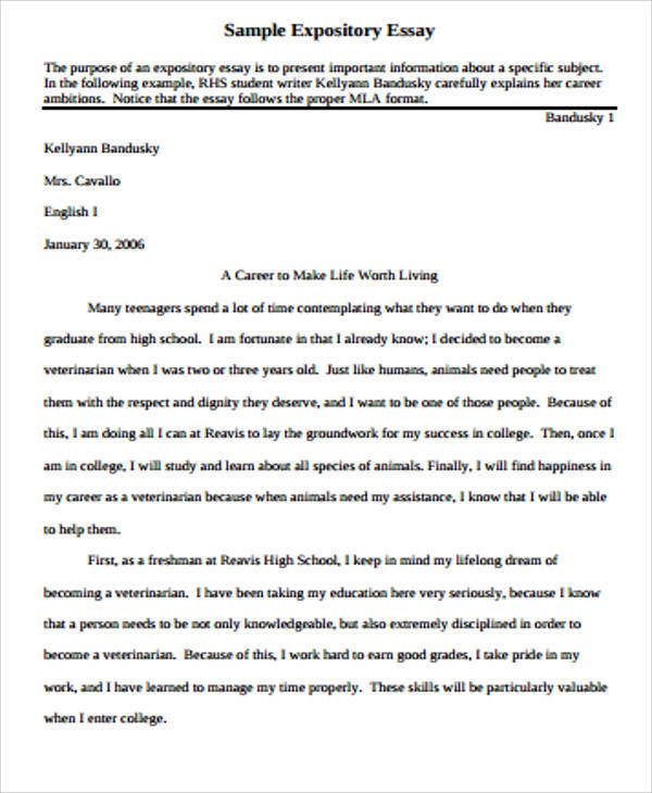 FREE 8 Sample Expository Essay Templates In MS Word PDF