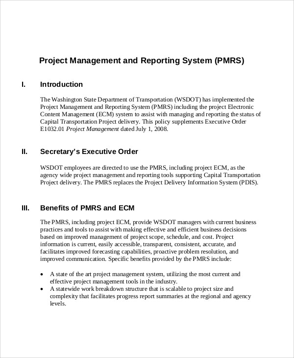 FREE 19 Sample Project Management Reports In MS Word Apple Pages 
