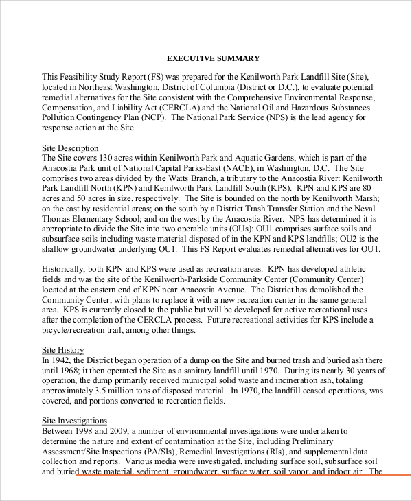 Sample Feasibility Study Report Pdf The Document Template
