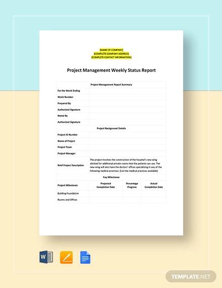 FREE 19 Sample Project Management Reports In MS Word Apple Pages 