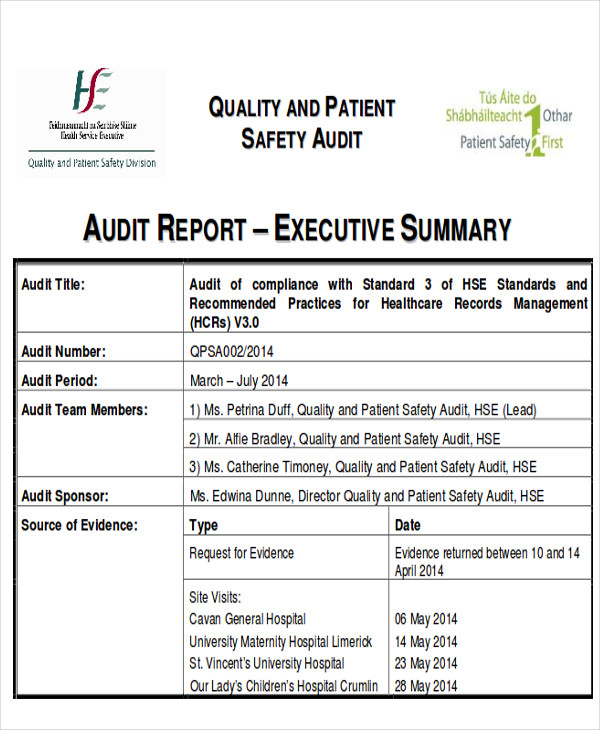 FREE 10 Sample Executive Report Templates In MS Word Google Docs 