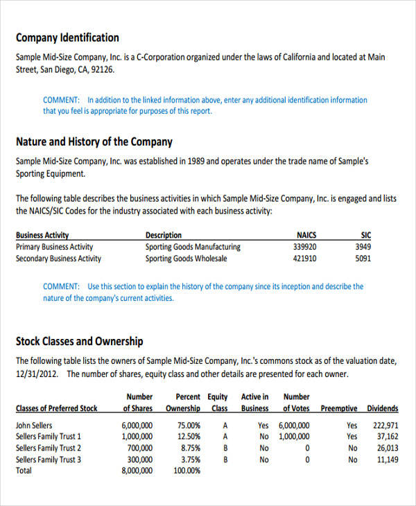 FREE 5 Sample Business Valuation Reports In PDF