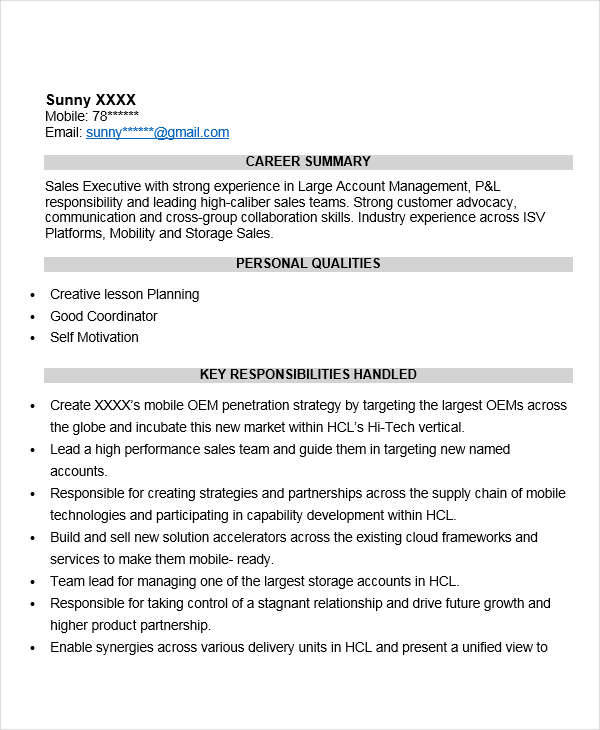 FREE 42 Executive Resume Templates In PDF MS Word Pages