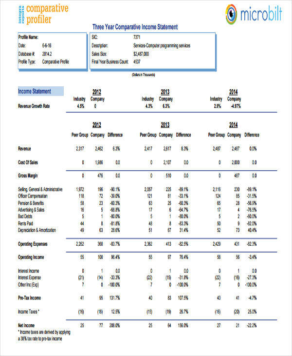 FREE 27 Statement Formats Samples In PDF