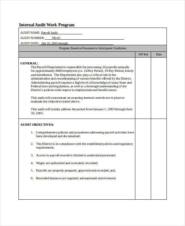 FREE 6 Audit Program Samples Templates In PDF MS Word