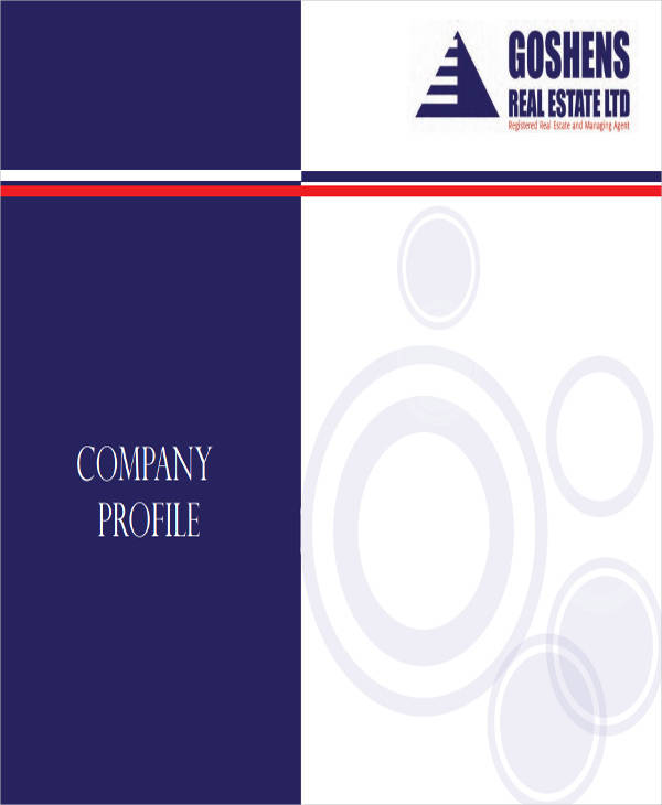 FREE 25 Company Profile Samples In MS Word Google Docs Pages