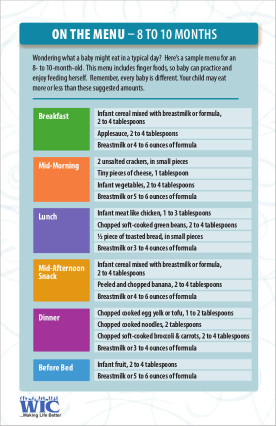 FREE 12 Baby Feeding Schedule Samples Templates In MS Word PDF FREE 12 Baby Feeding Schedule Samples Templates In MS Word PDF