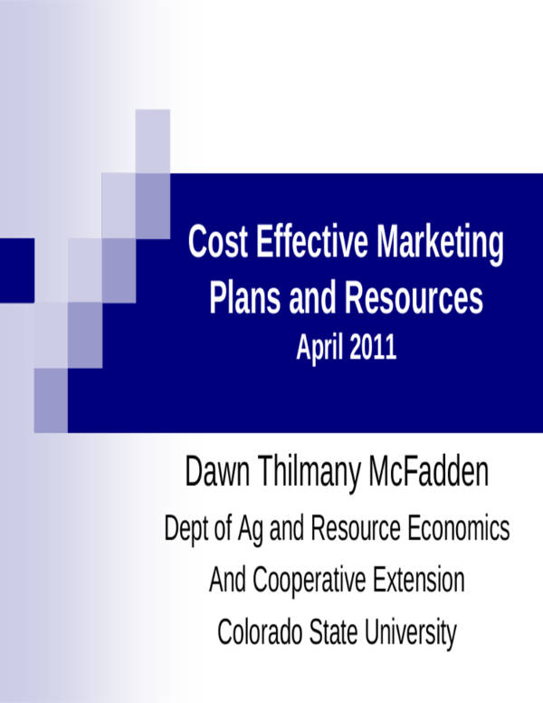 FREE 9 Marketing Strategy Presentations Samples Templates In PDF