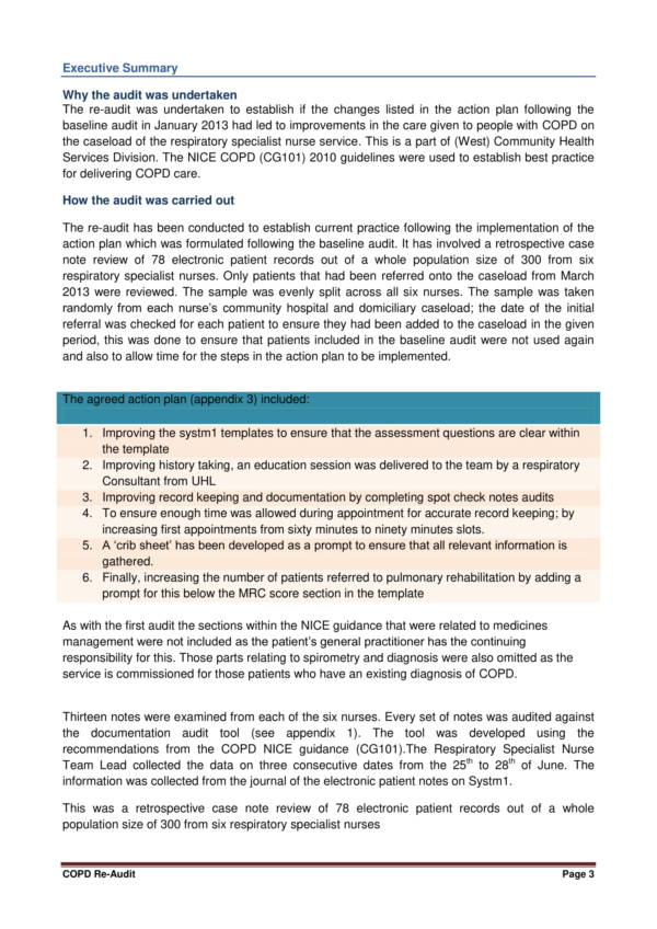 11 Clinical Audit Report Templates Pdf Doc Bank2home