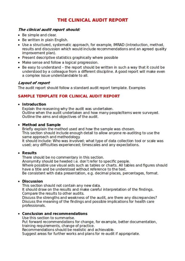 FREE 11 Clinical Audit Report Templates In PDF MS Word