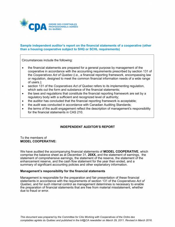 Sample Internal Financial Audit Report Classles Democracy