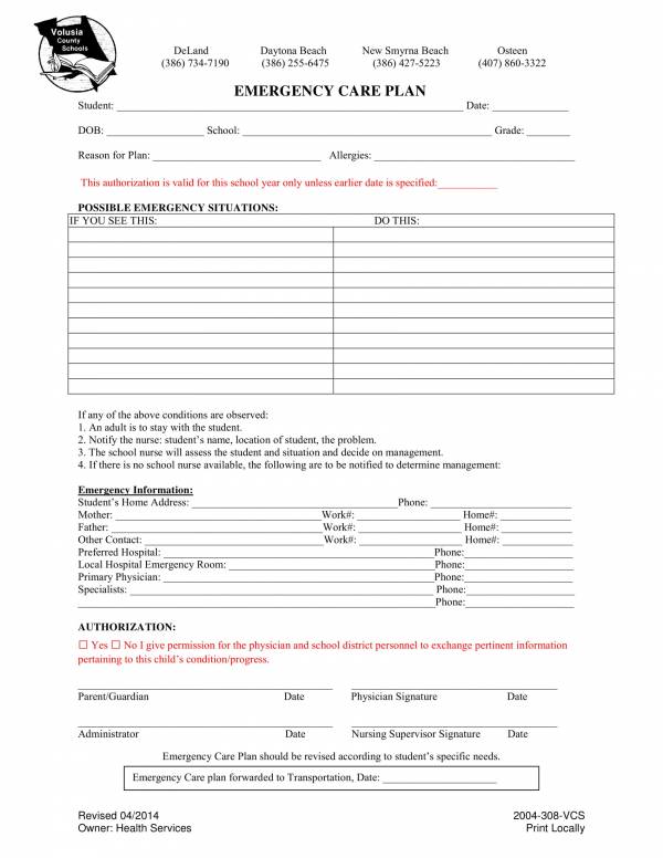 FREE 11 Emergency Care Plan Templates In PDF