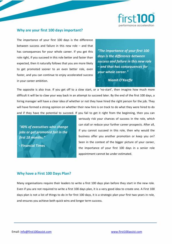 FREE 11 100 Day Plan Templates In PDF MS Word