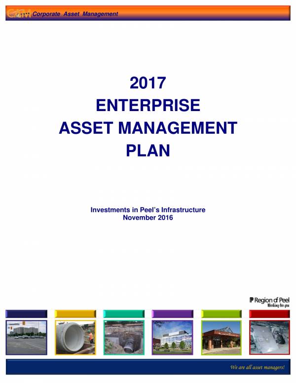 FREE 9 Asset Management Plan PDF