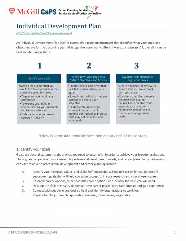 Individual Development Plan Examples Manager