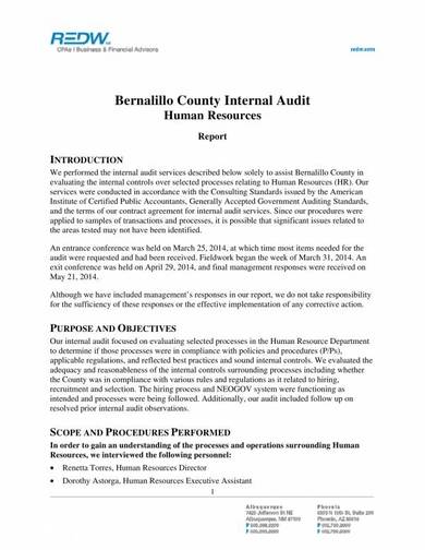 FREE 14 HR Audit Report Samples In PDF