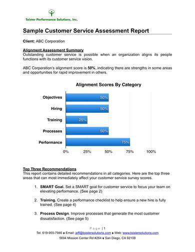 9 Sample Customer Report PDF