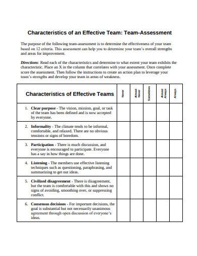 FREE 10 Team Assessment Samples In PDF MS Word