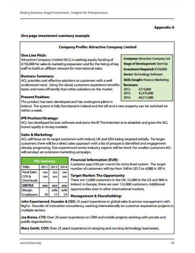 FREE 5 How To Write Investment Summary Samples In PDF