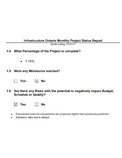 FREE 10 Monthly Project Status Report Samples In PDF