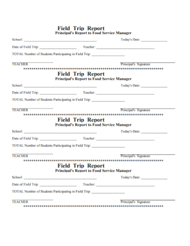 How To Write A School Field Trip Report