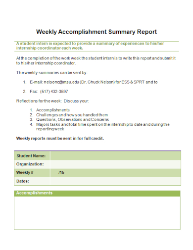 FREE 4 Weekly Accomplishment Report Samples Work Individual Employee 